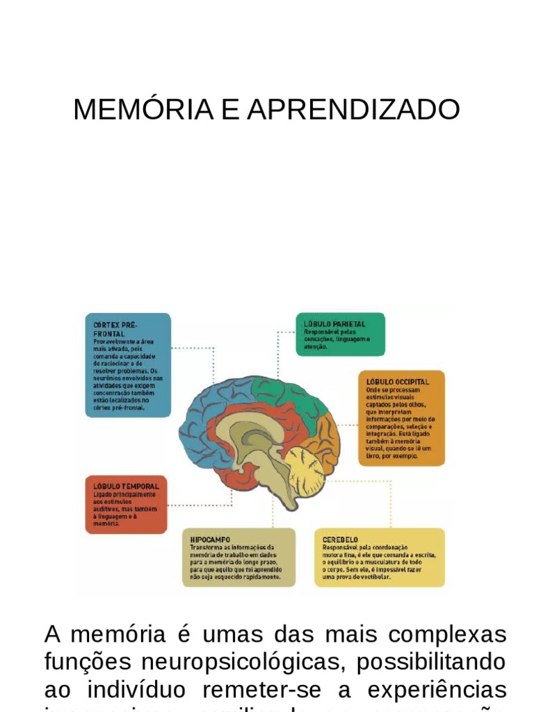 Memória E Apr 1 Pdf Memória Memória De Longo Prazo