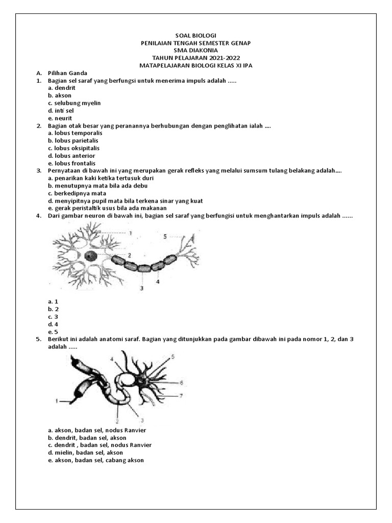 Pas Genap Biologi Kelas Xi Ipa - Ips 2022 | PDF