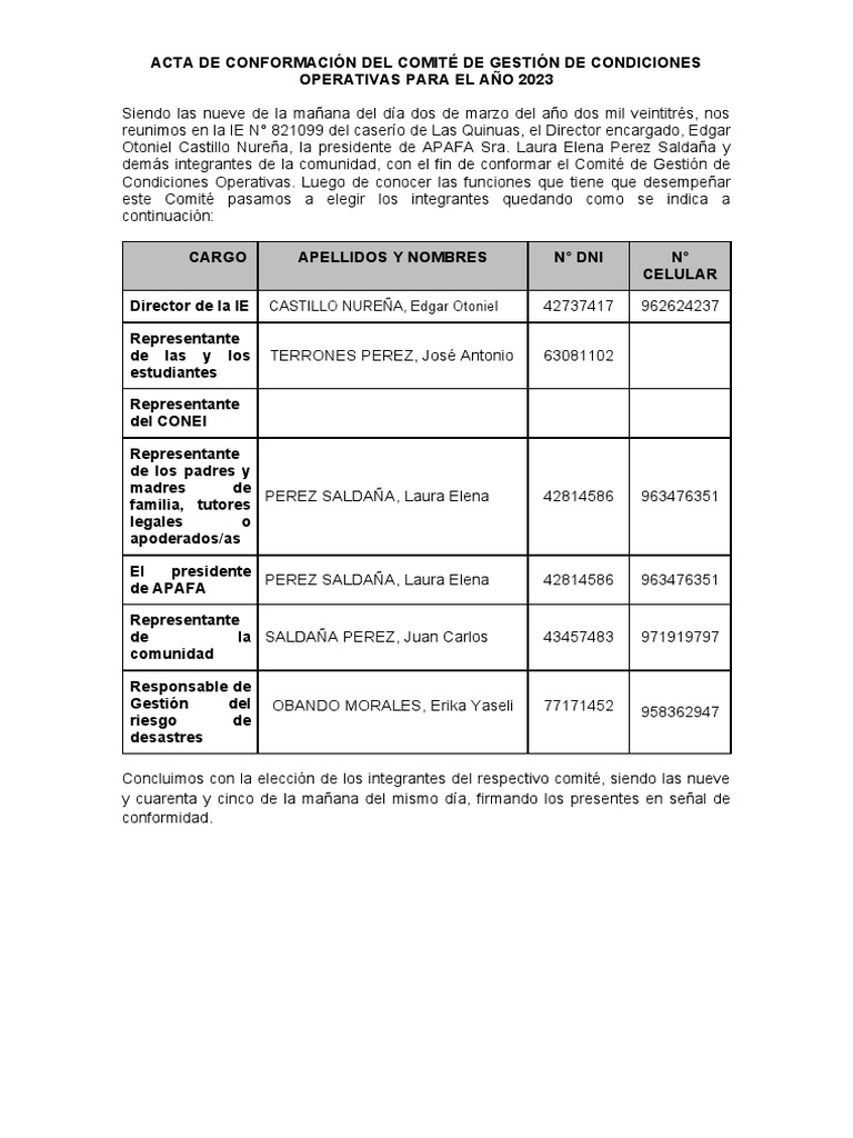 Acta Conformación Comité de Gestión | PDF | Gobierno