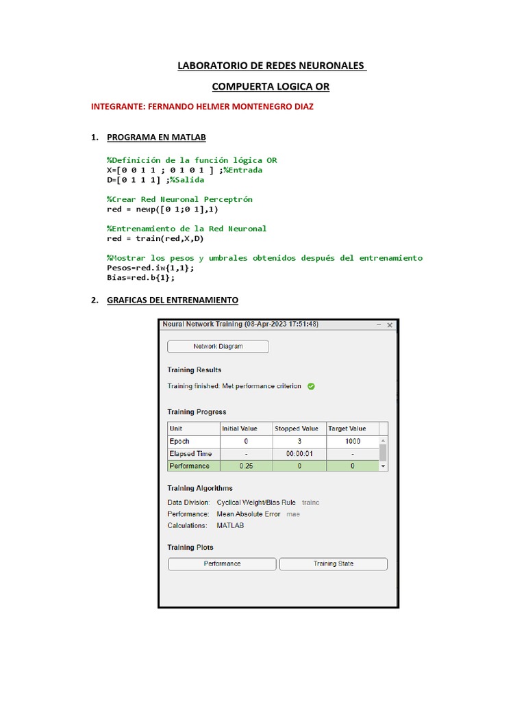 Laboratorio de Redes Neuronales | PDF