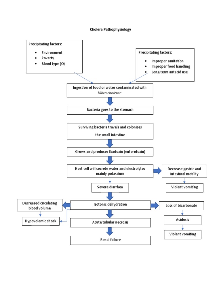 Cholera Pathophysiology | PDF