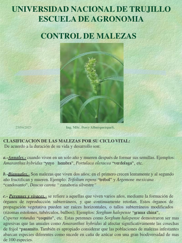 Control de malezas 3º semana (1) | PDF | Hoja | Organismos