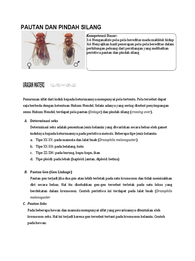 Modul Pola Hereditas Dan Hereditas Manusia | PDF