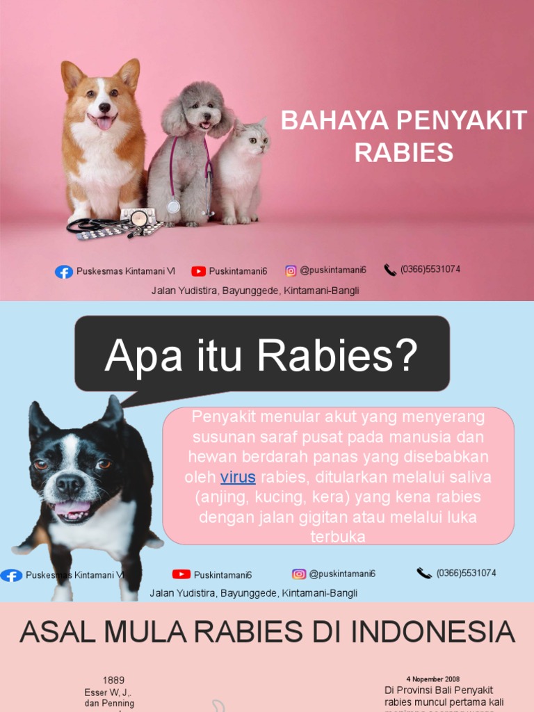 Bahaya dan Asal Mula Rabies di Indonesia | PDF
