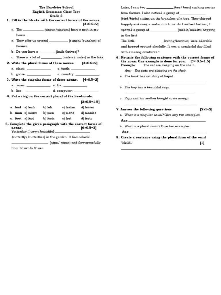 Grade 3 Singular and Plural Noun | PDF | Plural | Noun
