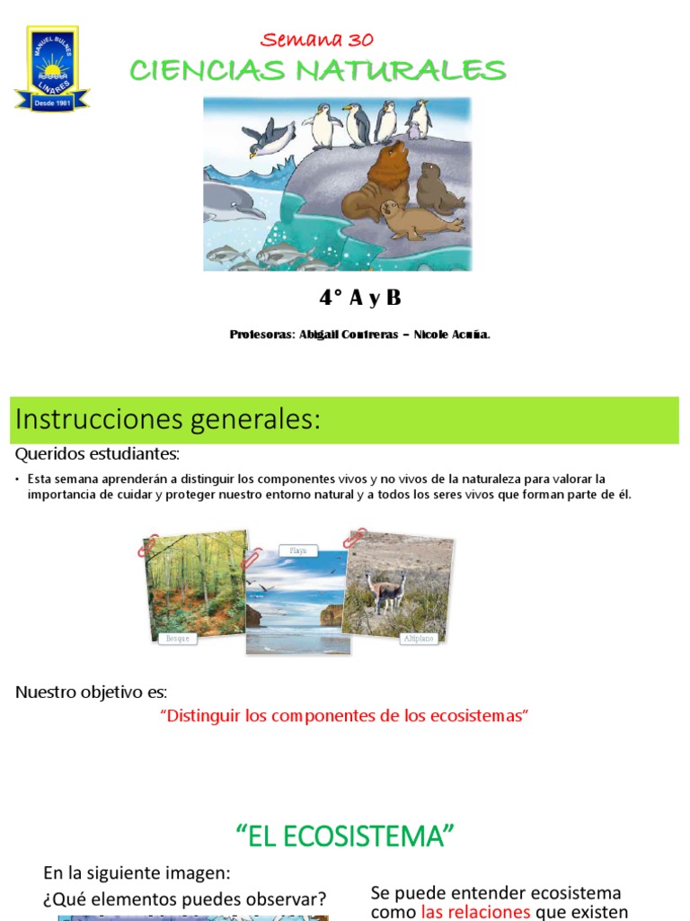 Componentes y Tipos de Ecosistemas | PDF | Ecosistema | Entorno natural