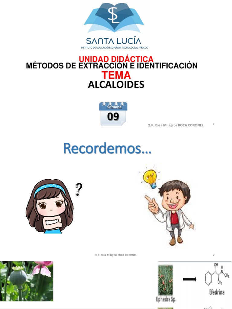 Tema 9 Meei | PDF
