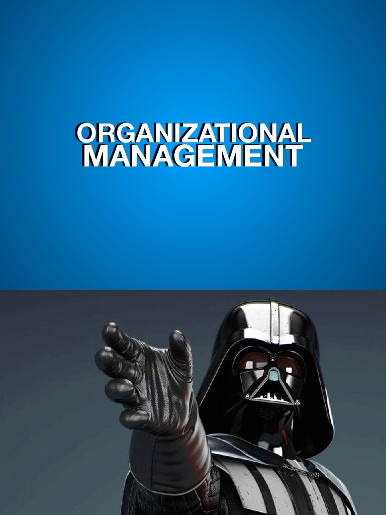 Basics of Organizational Management | PDF