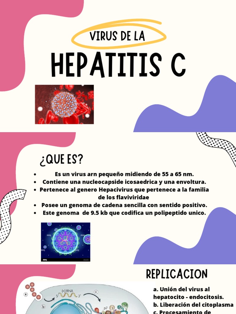 Hepatitis C | PDF
