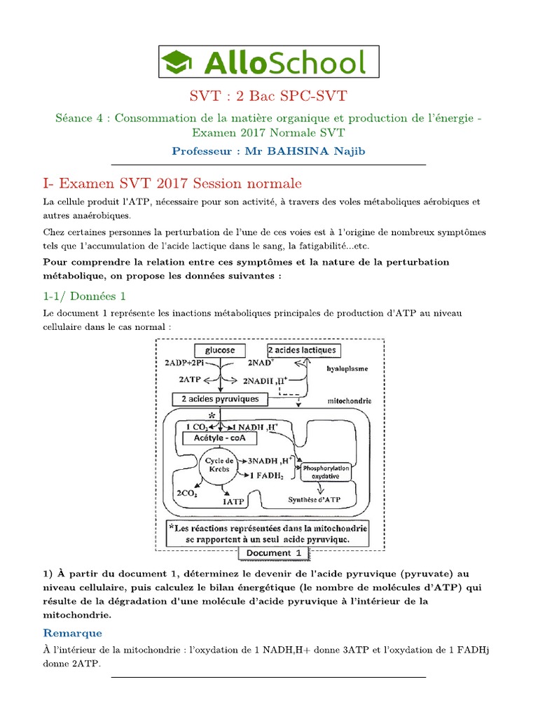 Seance 4 Consommation de La Matiere Organique Et Production de L Energie Examen 2017 Normale SVT ...