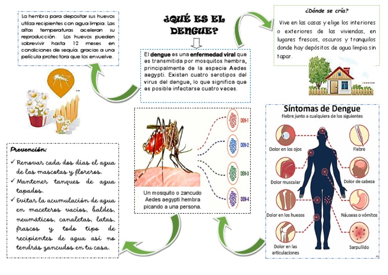 Infografía Dengue | PDF