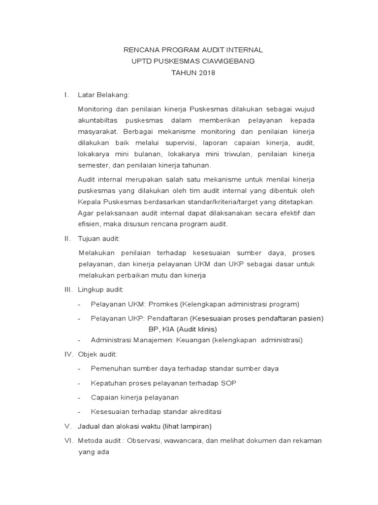 RENCANA PROGRAM AUDIT INTERNAL Terbaru (NEW) PLUS KEUANGAN, Promkes Adn Klinis | PDF