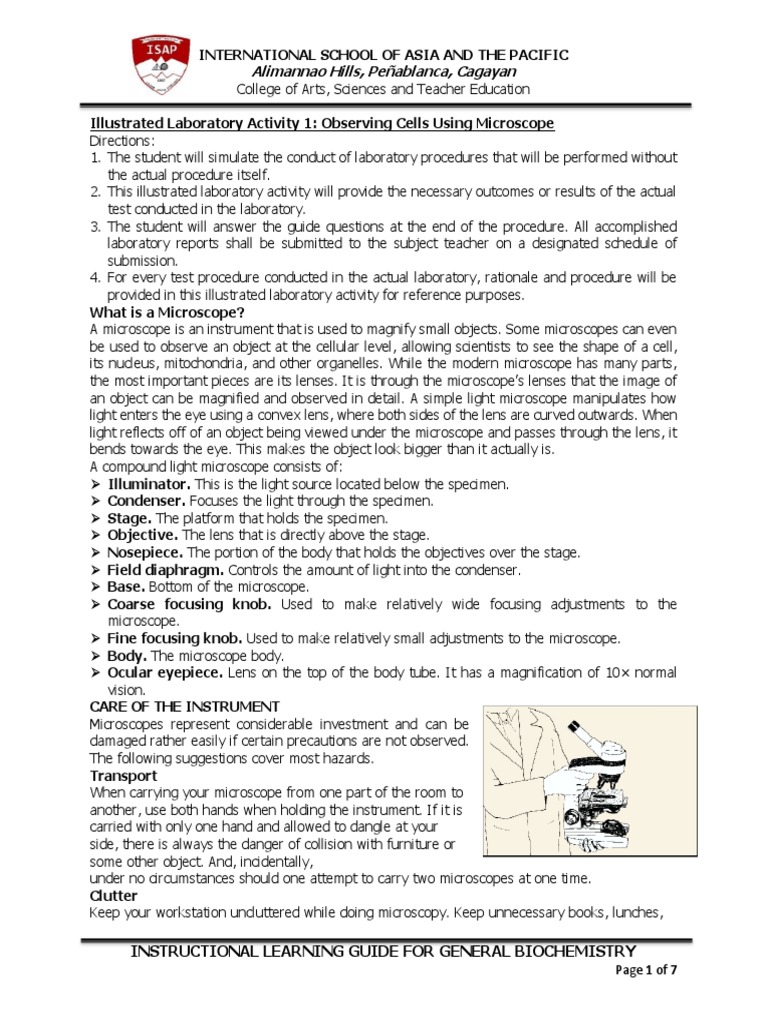 Illustrated Guide to Microscope Use | PDF | Electron Microscope ...
