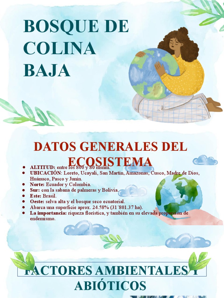 Bosque Colina Baja | PDF