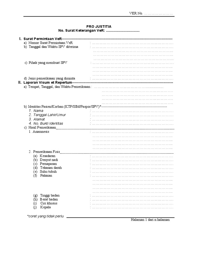 Contoh Form Visum | PDF