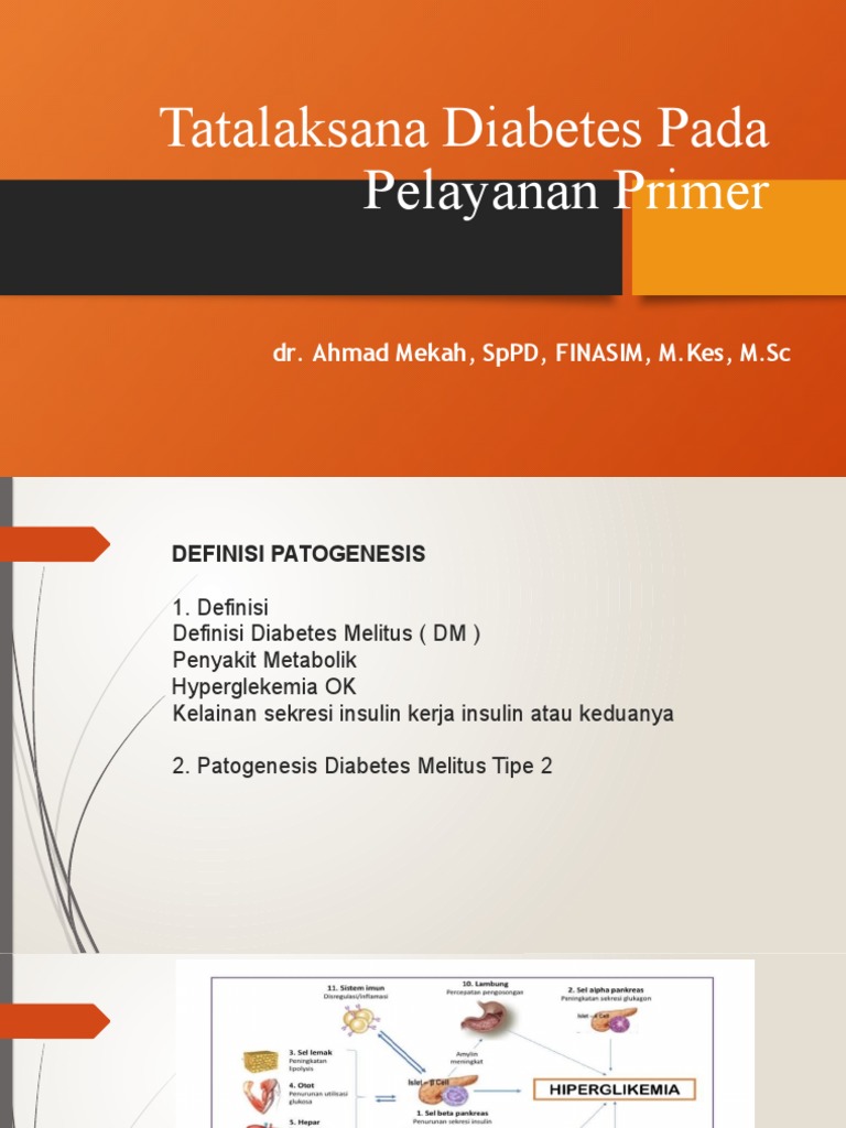 Tatalaksana Diabetes Melitus di Primer | PDF | Diabetes | Hypoglycemia