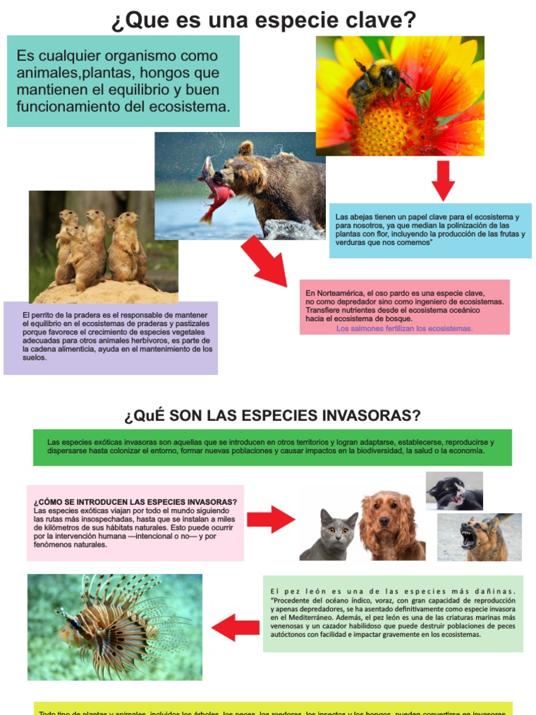 Especies Clave y Especies Invasoras. | PDF | Especies invasivas ...