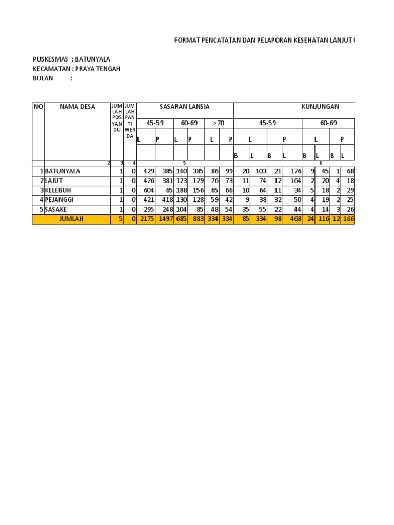 LAPORAN LANSIA 2022 | PDF