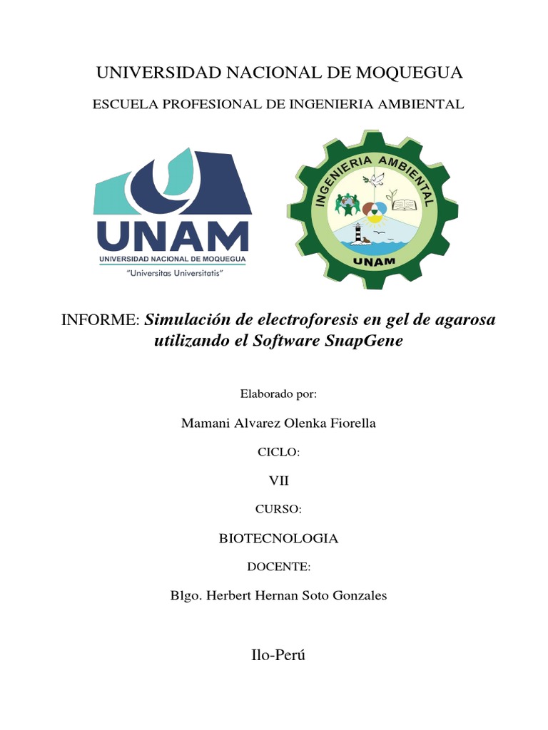 Simulación de Electroforesis en Gel de Agarosa Utilizando El Software ...