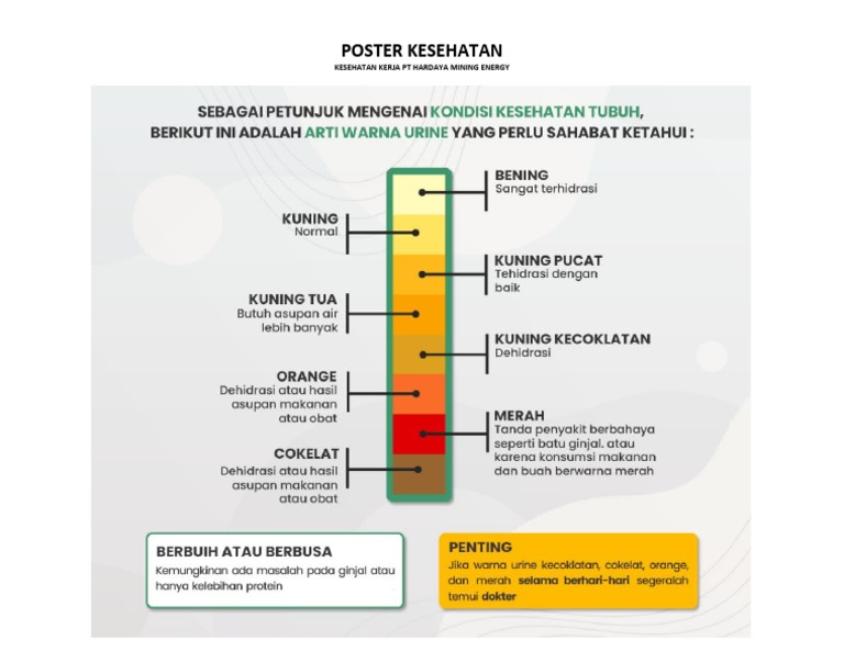 Poster Warna Urine | PDF