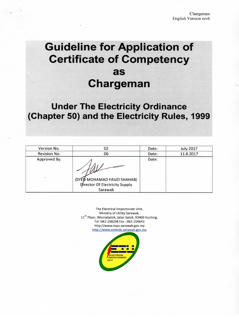 Charge Man 121 | PDF | Electrical Grid | Electricity