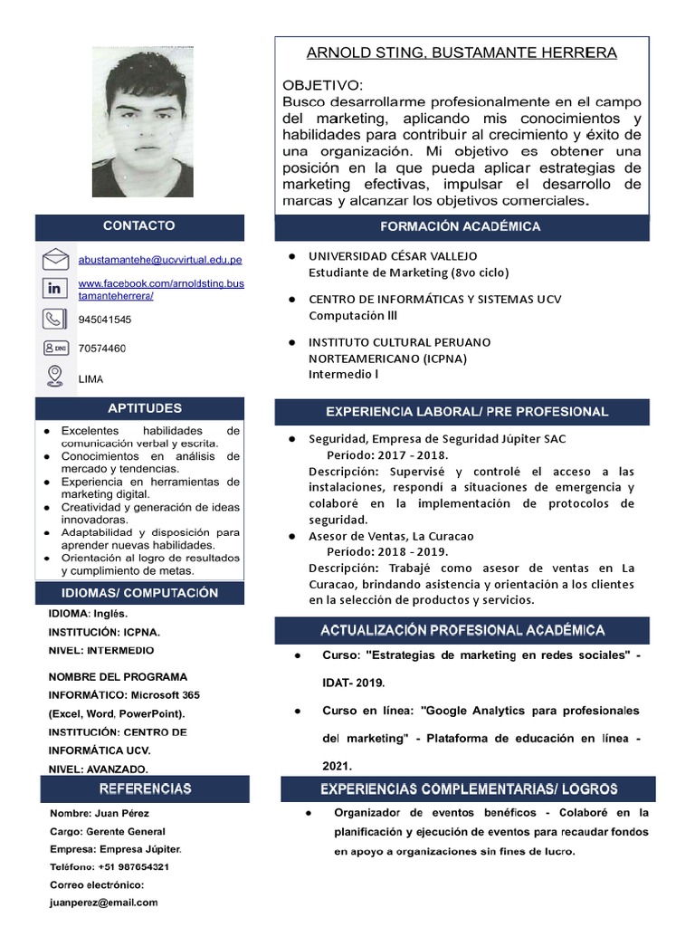 Formato Cv de La Ucv.docx | PDF
