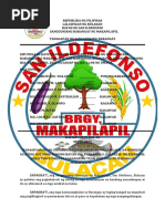 BDRRM Plan Template - Filipino Edited | PDF