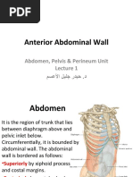 Anatomy of The Anterior Abdominal Wall & Groin PDF | PDF | Abdomen ...