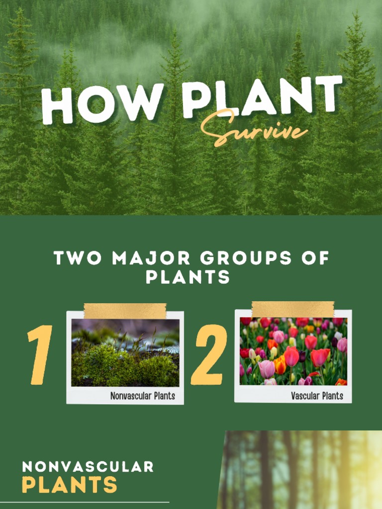 How Plant Survive | PDF