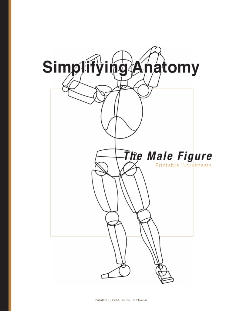 Anatomy Of The Body Landmarks Worksheets