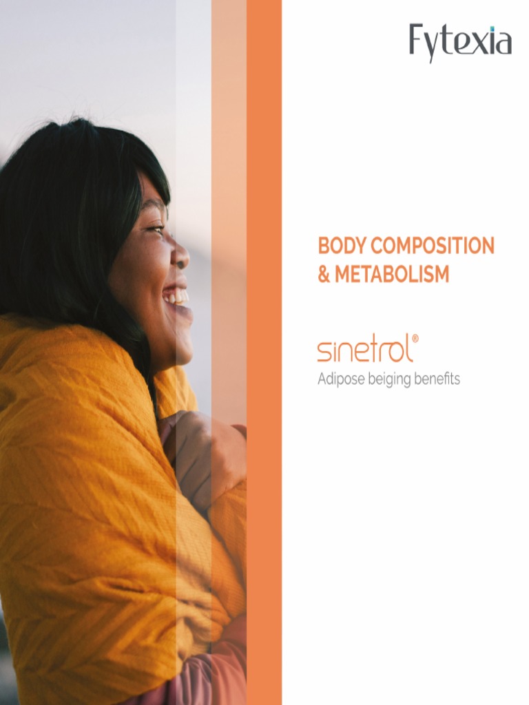Sinetrol Brochure | PDF