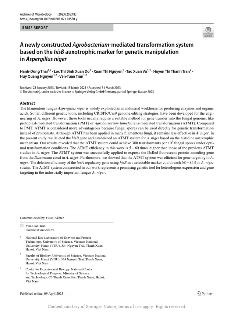 A Newly Constructed Agrobacterium-Mediated Transformation System Based ...