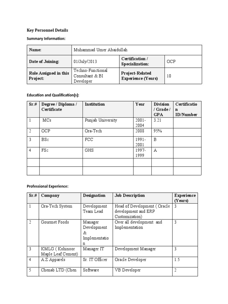 Umer Ghazi CV | PDF | Information Management | Information Technology ...