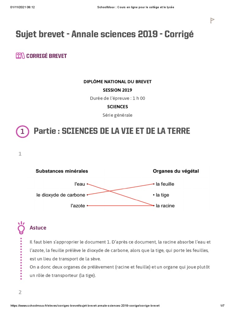 Sujet Brevet 2019 SVT Physique Chimie | PDF