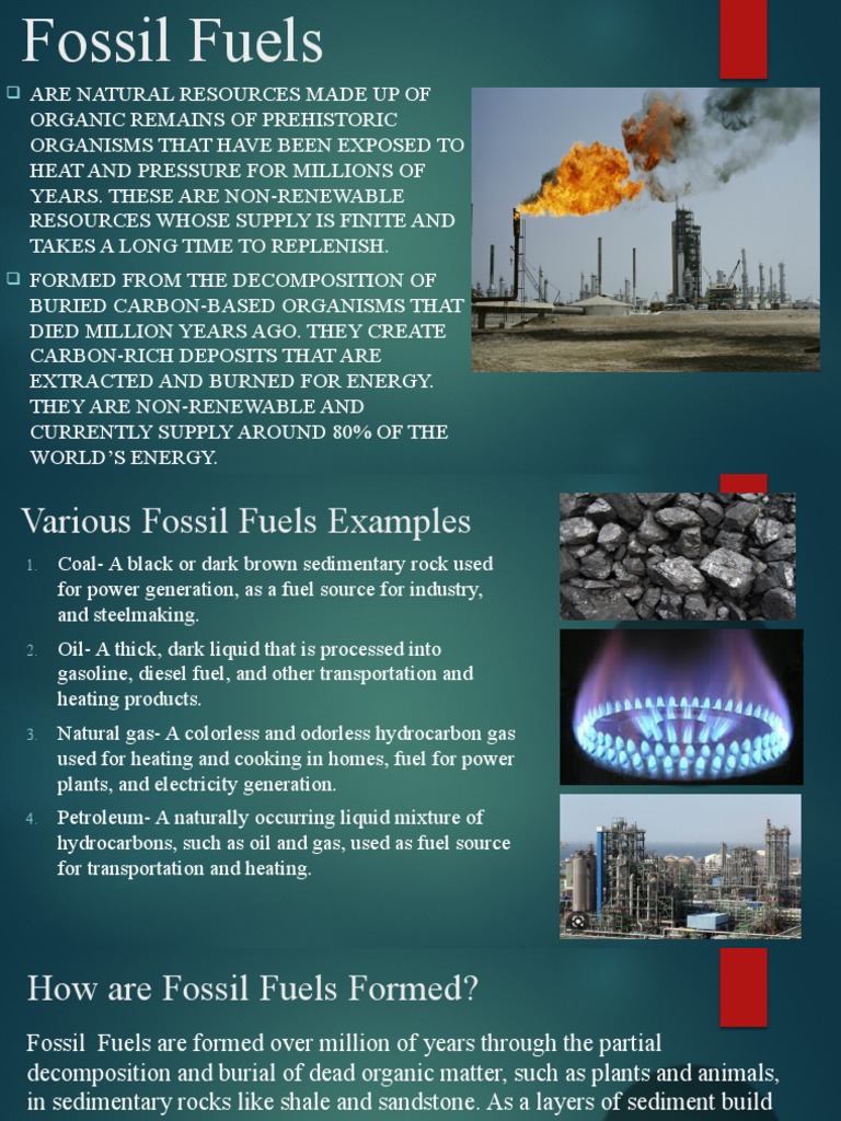 Fossil Fuels | PDF | Fuels | Fossil Fuels