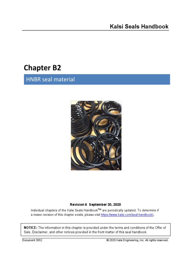 B02 HNBR | PDF | Oil Well | Chemical Substances