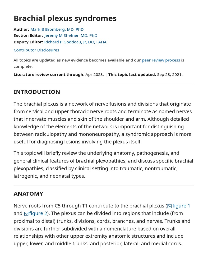 Brachial Plexus Syndrome | PDF | Nervous System | Diseases And Disorders