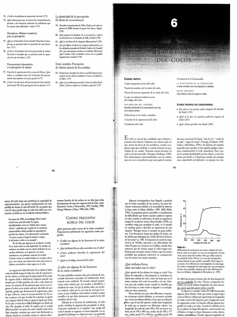 Goldstein Tema 6 | PDF | Color | Verde