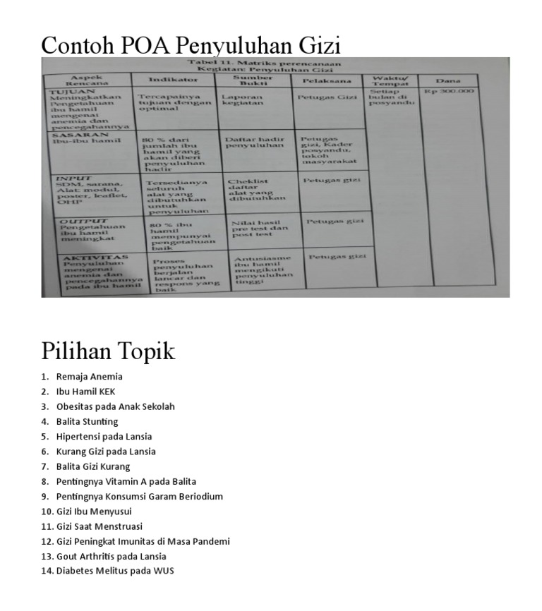 Contoh POA Penyuluhan Gizi | PDF