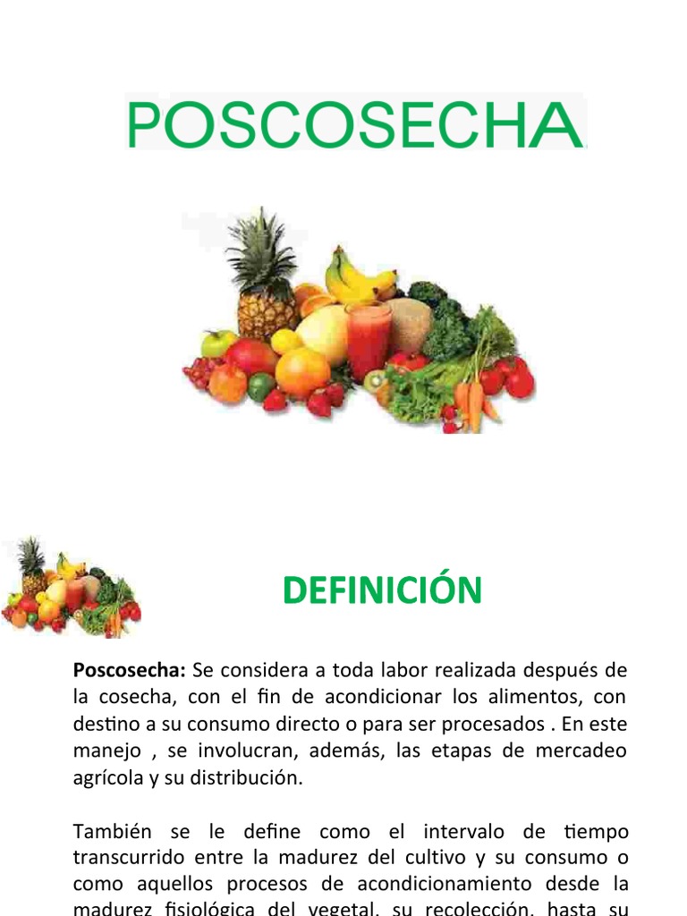 La Poscosecha Word | PDF | Cosecha | Respiración celular