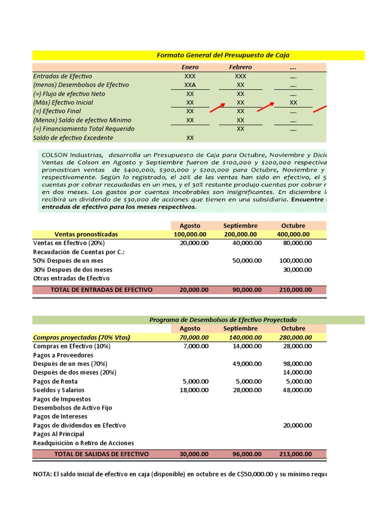Ejemplo de Presupuesto de Caja | PDF