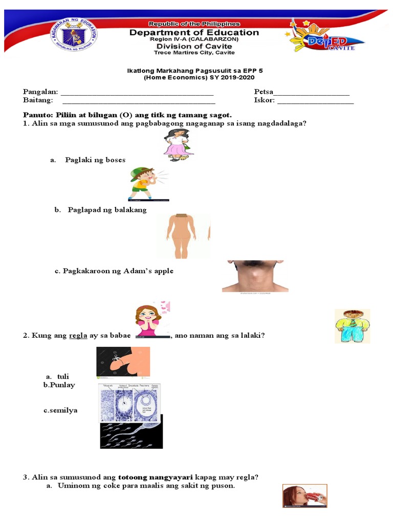 Modified 3rd Periodical Test in EPP H.E 5 | PDF