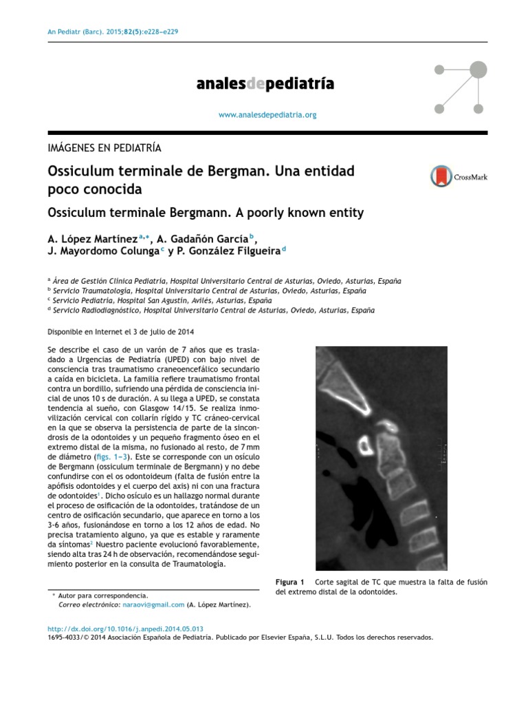 Ossiculum Terminale de Bergman. Una Entidad Poco Conocida | PDF ...