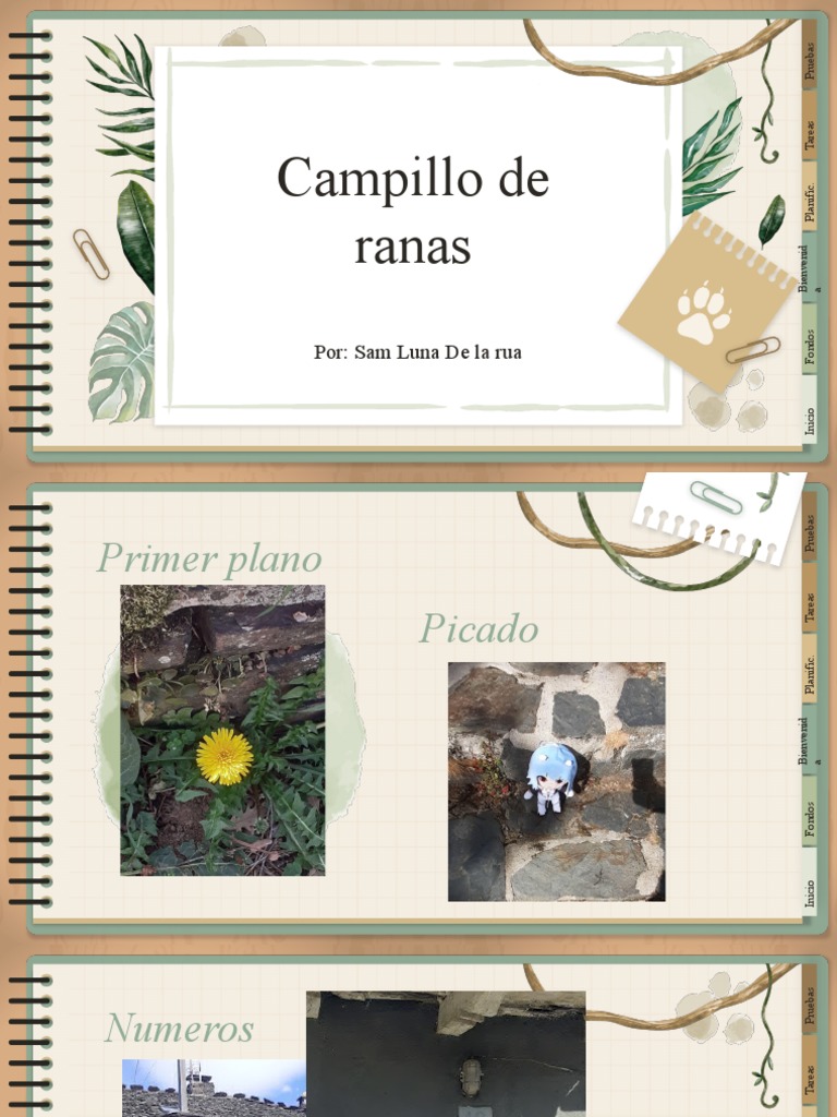 Campillo de Ranas | PDF