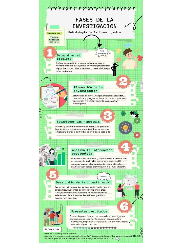 Infografía Fases de La Investigacion | PDF