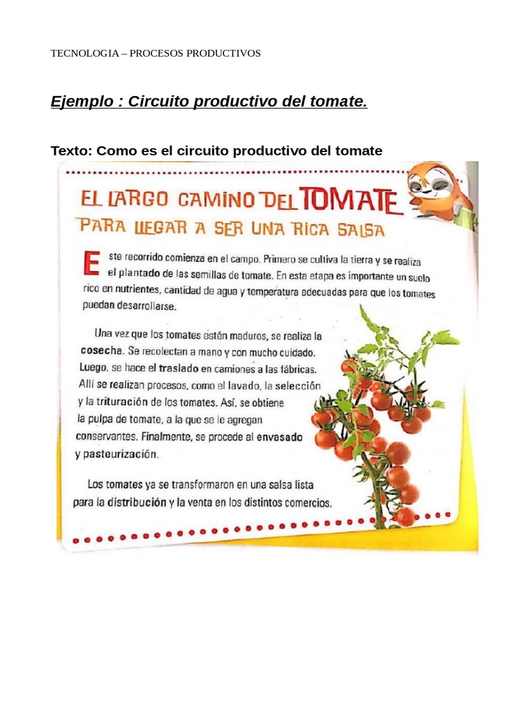 Ejemplo - Circuito Productivo Del Tomate - GERVASONI MAURO JOAQUIN. | PDF