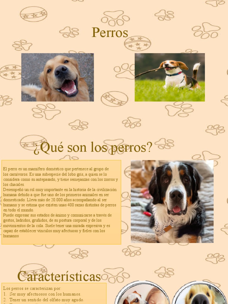 Perros | PDF