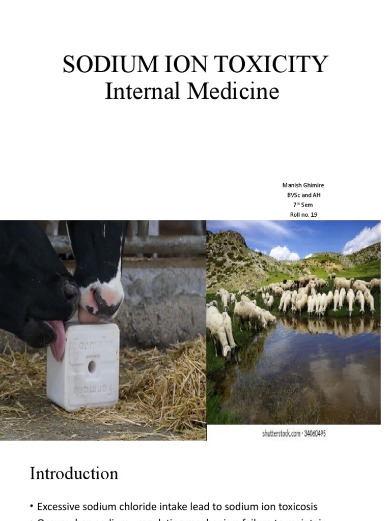 Sodium Ion Toxicity in Animals | PDF | Dehydration | Electrolyte