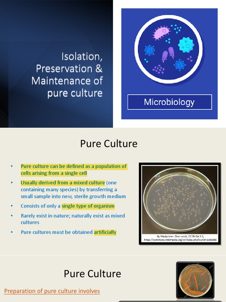 Isolation, Preservation & Maintenance of Pure Culture | PDF | Freeze ...