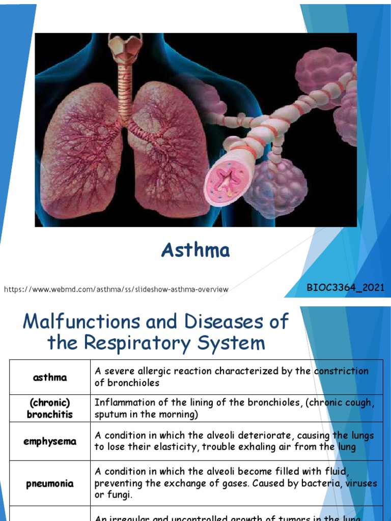 BIOC3364 - 2021 Lecture Notes Asthma | PDF | Asthma | Lung